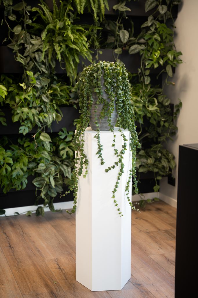 Hexagonal Wonder: Discover our Hexagon Plinth